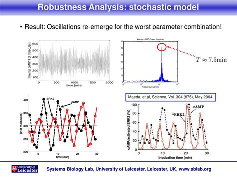 Ppt Overview Of Current Research Declan Bates Powerpoint Presentation Id4638282