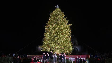 Запалиха светлините на енергоспестяваща и екологична коледна елха в Рим ВИДЕО Любопитно