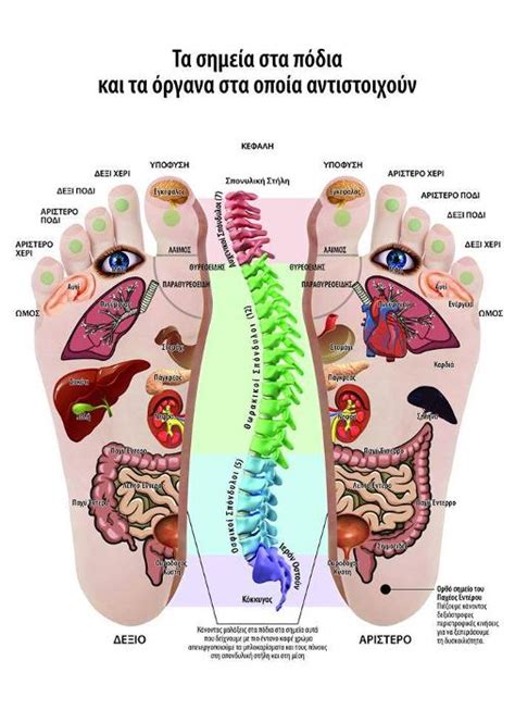 Ρεφλεξολογία Ραφήνα σε Ραφήνα Φωτογραφίες Κέντρα Αισθητικής Κέντρα Αδυνατίσματος σε Ραφήνα