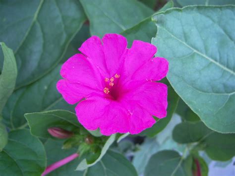 사랑하는 마음으로