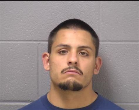 Sex Offender Visits Braidwood Elementary Spotted On School Bus Cops