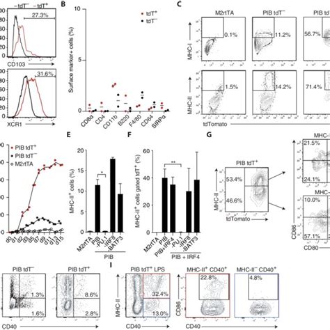 Induced Dcs Express Classical Apc Surface Molecules And Cdc1 Receptors Download Scientific Induced Dcs Express Classical Apc Surface Molecules And Cdc1 Receptors Download Scientific