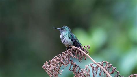 4k Sex Wallpaper Photos Download The Best Free 4k Sex Wallpaper Stock