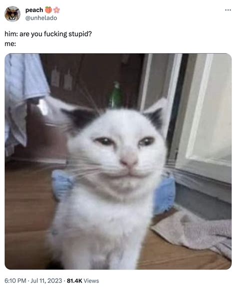 Are You Fucking Stupid Me Image Gallery List View List View