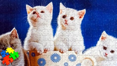 Милые Котята - Как собрать пазлы 500 элементов - Собираем пазлы с ...