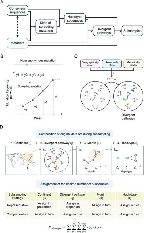 The Covsampler Workflow A Schematic Diagram Showing The Major Steps