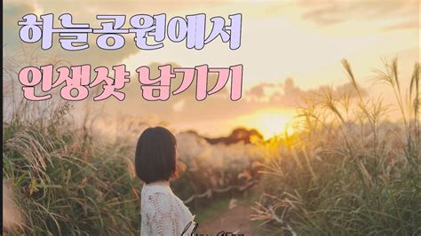 노을지는 하늘공원에서 억새와 함께 인생샷남기기 Youtube