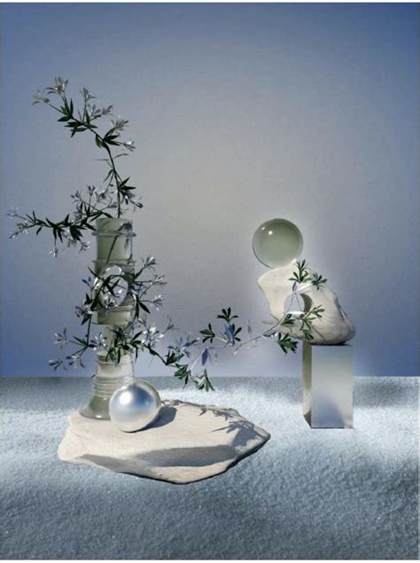 Elegant Vases With Flowers