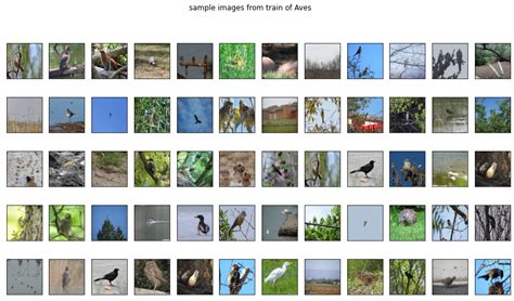 convolution neural network assignment 2 cnn parta weights and biases