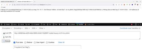 Buuctf 网鼎杯 2020 朱雀组 Nmapbuuctf 网鼎杯 2020 朱雀组 Nmap Csdn博客