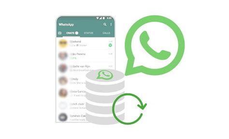 4种方式轻松备份android上的whatsapp [详细]