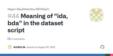 Meaning Of Ida Bda In The Dataset Script · Issue 44 · Megvii Basedetectionbevdepth · Github