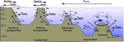 Conceptual Diagram Of Processes Occurring On Emergent Reefs Submerged Download Scientific