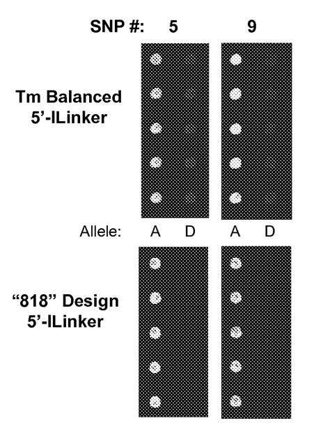 Microarray System With Improved Sequence Specificity Eureka Patsnap
