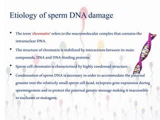 Sperm DNA Fragmentation PPTX Infertility Reproductive Health