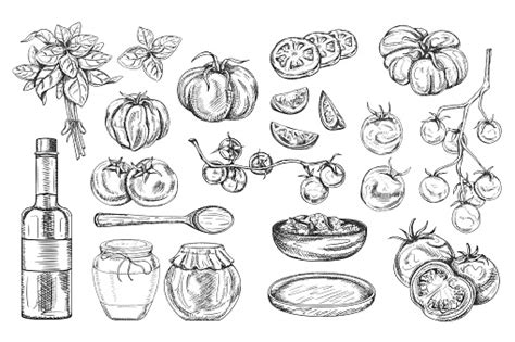 야채 세트 익은 빨간 토마토 바질 잎 유리 병 나무 접시의 벡터 그림 유기농법으로 건강하고 신선한 재료 손으로 그린 고립 된 배경에 검은 잉크로 라인 아트 개체 그룹에 대한
