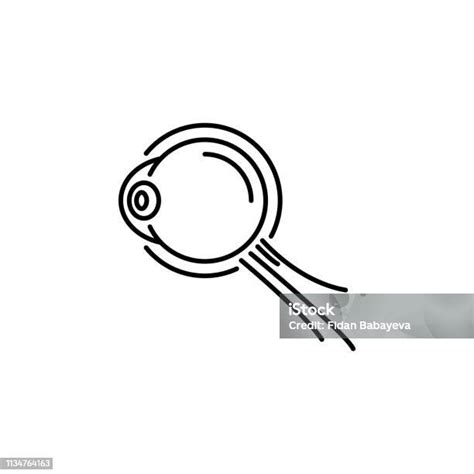 인간의 장기 안구 구조 개요 아이콘입니다 기호와 기호는 웹 로고 모바일 앱 Ui Ux에 사용할 수 있습니다 각막에 대한 스톡 벡터 아트 및 기타 이미지 Istock