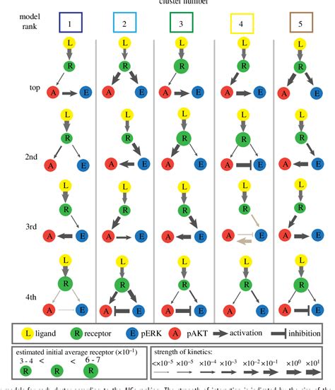 Tensor Clustering With Algebraic Constraints Gives Interpretable Groups
