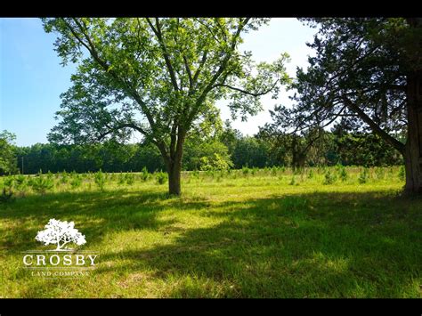 Revolutionary Trail Farm Allendale County Martin Sc