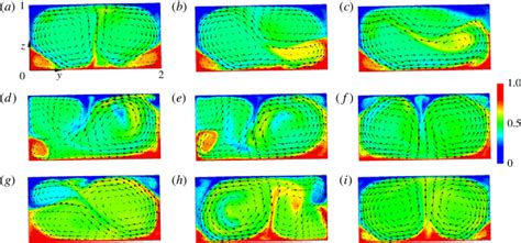Colour Online Nine Snapshots Of The Temperature Field Superimposed Download Scientific