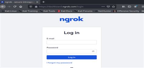 Phishing Using Ngrok And Social Engineering Toolkit