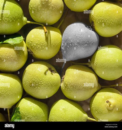 Juicy Green Pears With Water Drops On Crumpled Craft Paper Alone Gray