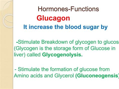 Pancreas Endocrine Function Ppt Pptx