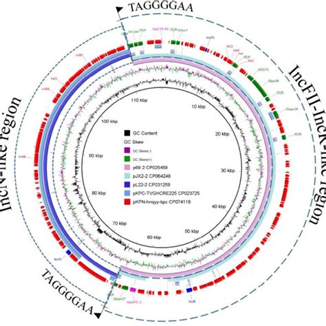 Circular Alignment Of Plasmid Pkpn Hnqyy Ndm With Other Six Plasmids