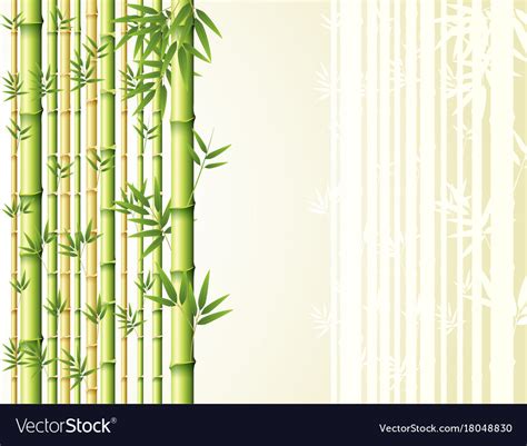 Bamboo Background Design With Golden And Green Vector Image