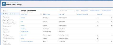 Trick Running User Must Have Create Permission To Field Used In Screen Flow Lookup Component