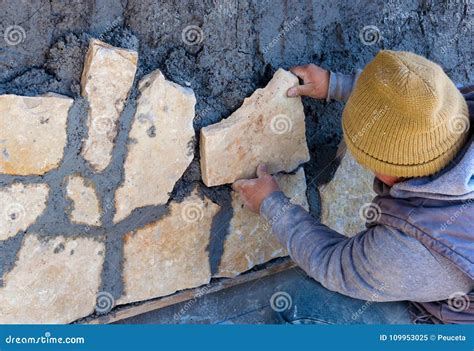 Stone Cladding Rock Panels Front Yard Design Stock Photography CartoonDealer Com 198190406