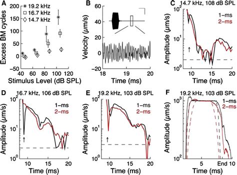 Frequency And Level Dependence Of After Vibrations A Excess Cycles Download Scientific