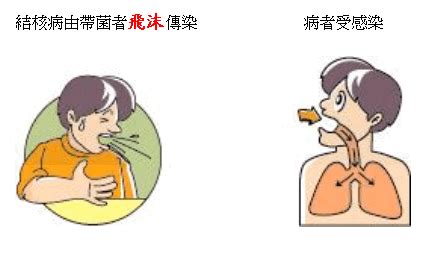衛生署 衛生防護中心 胸肺科 此病如何傳播