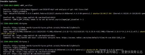 linux内核漏洞提权 linux exploit suggester2 csdn博客