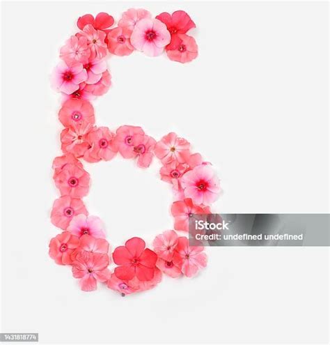 3번은 진짜 신선한 꽃으로 만들었습니다 꽃 글꼴 개념 알파벳 0명에 대한 스톡 사진 및 기타 이미지 0명 Live Event 가을 Istock