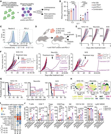 Integrative Analysis Of Neuroblastoma By Single Cell Rna Sequencing Identifies The Nectin2 Tigit
