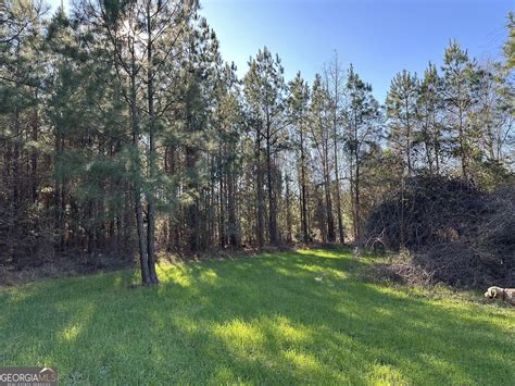 012 Mt Zion Rd Gordon Al 36343 Mls 10605604 Landwatch