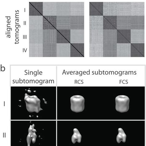 A Dissimilarity Score Matrices For Subtomogram Classification The Download Scientific