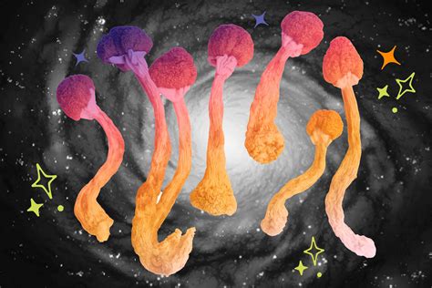 Psilocybin Magic Mushrooms Risks And Effects