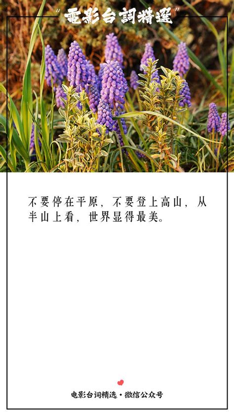 尼采最发人深思的9句话凡不能毁灭我的必使我强大经典语录晚安句子 知乎