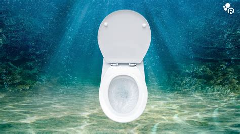 An Environmental Explanation As To Whether It Is Okay To Pee In The