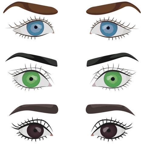 Mata Hazel Ilustrasi Grafik Vektor And Clip Art Bebas Royalti Istock