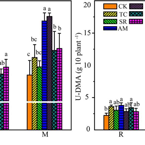 DMA Of Aboveground A DMA A And DMA Of Underground U DMA B At