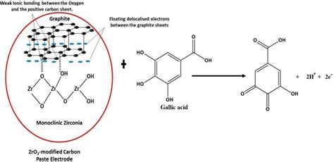 Proposed Interaction Between Zro 2 Nps And Graphite Towards Showing A Download Scientific