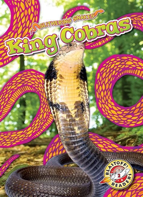 How Tall Do King Cobras Stand