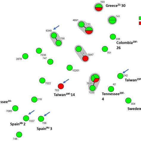 Minimum Spanning Tree Generated By Using Bionumerics V76 And Showing Download Scientific