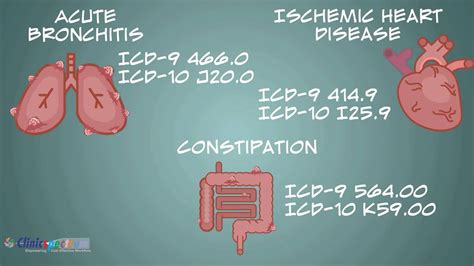 Introduction To Icd 9 And Icd 10 Youtube