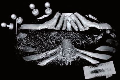 The Surface Rendering Image Download Scientific Diagram