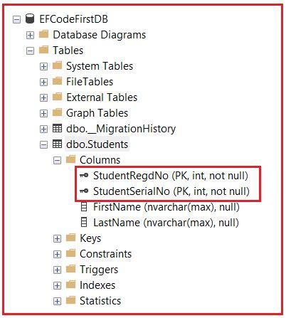 Key Attribute In Entity Framework With Examples Dot Net Tutorials
