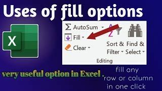 Uses Of Fill Options In Microsoft Excel Doovi